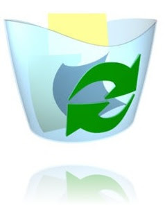 Recycle Bin Computer Icon